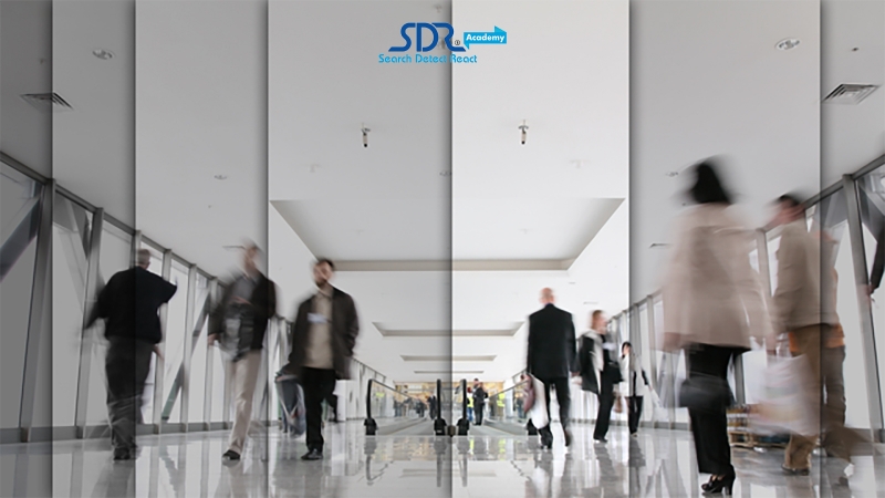 Proactive vs. Pre-Emptive: Why knowledge-based decisions lead to better ...